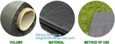 China green color Plastic Ground Cover Mats mulch weed control fabric mat,Weed Barrier Around Fruit Trees PP Woven Weed Mat fo for sale