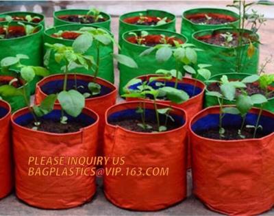 China UV resistant PE potato growing bag garden planter bags with Flap and handles,Flap and Handles Collapsible 10 gallons for sale