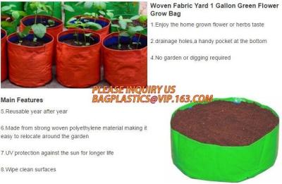 China UV resistant PE potato growing bag garden planter bags with Flap and handles,Flap and Handles Collapsible 10 gallons for sale