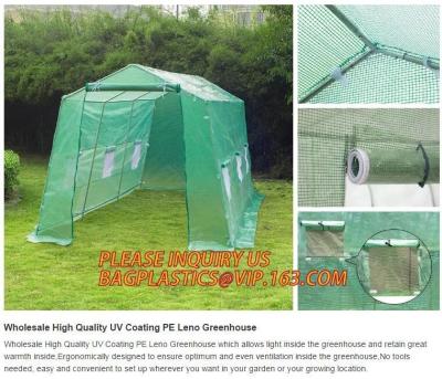 China polycarbonate plastic sheet agricultural mini garden green house,plastic walk in dome garden green house, SUPPLIES, PAC for sale