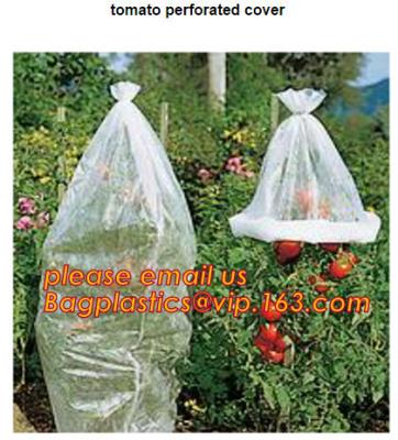 Garden used tomato plastic film cover,high light transmittance solar control seeding nursery greenhouse covers,100% virg