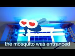 Uso interior del insecto del diseño moderno de luz de la trampa del tablero electrónico del pegamento