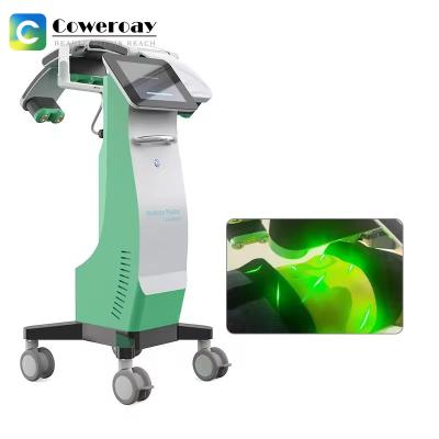 Cina 10D Maxlipo Master Eliminare la cellulite Slimming Fisioterapia Macchina Per Braccia in vendita
