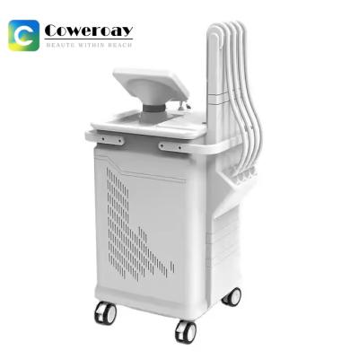 China Máquina de emagrecimento corporal a diodo de 1060nm, Máquina de emagrecimento de lipoproteína a laser. à venda