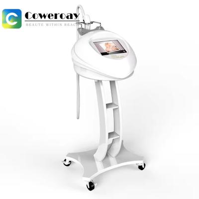 Cina OEM Micro Needle RF Rimozione delle rughe / Rimozione dell' acne per uso domestico Dispositivo di bellezza in vendita
