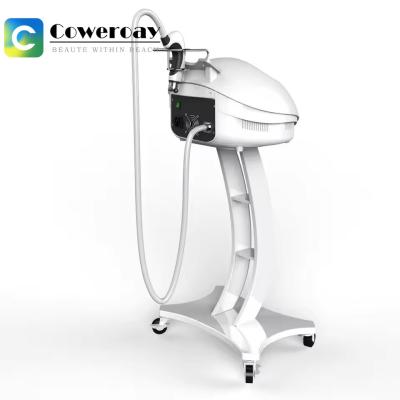 Cina OEM Micro Needle RF Rimozione delle rughe / Rimozione dell' acne per uso domestico Dispositivo di bellezza in vendita