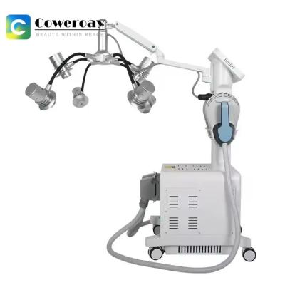 Cina 6D Lipo Laser 532nm Costruzione del Muscolo e Fat Dissolving Machine Manufacturer in vendita