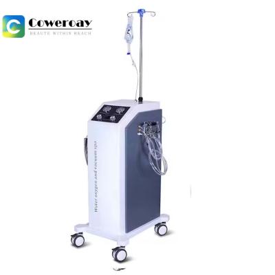 China Water Microdermabrasion Machine , Spa Beauty Oxygen Jet Peel Machine for sale