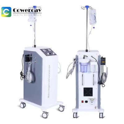 China Water Microdermabrasion Machine , Spa Beauty Oxygen Jet Peel Machine for sale