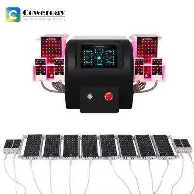 Cina 6D 635nm 532nm Lipo Diode Laser Red Liposuction Weight Loss Body Shape Machine Con 12 Paddle in vendita
