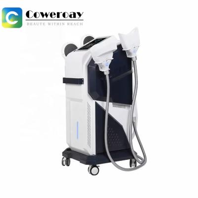 China 2 em 1  Cryolipolysis Fat Freezing Vacuum Therapy Machine Manufacturer à venda