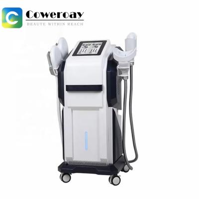 China 2 em 1  Cryolipolysis Fat Freezing Vacuum Therapy Machine Manufacturer à venda