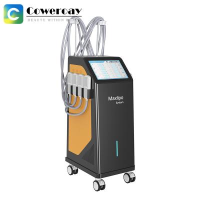 Cina 8 Placca 360 Cryolipolysis Cryo Fat Freezing Cryo Placca Macchina di perdita di peso in vendita