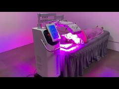 Professional Vertical Photodynamic Led Infrared Red Light Therapy Machine Pdt Skin Rejuvenation Beau
