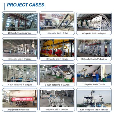 China ROTEXMASTER Biomass wood pellet production line with CE ISO Certification for sale