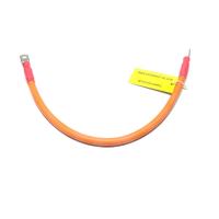 China High Voltage Lithium Harness Output Positive Line for sale