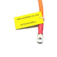 China High Voltage Lithium Harness Output Positive Line for sale