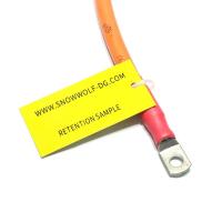 China High Voltage Lithium Harness Output Positive Line for sale