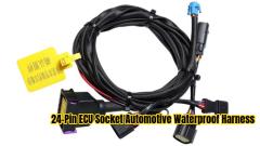 Snowwolf 24 Pin ECU Wiring Harness Reliable Automotive Tech