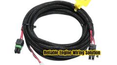 Snowwolf Automotive Wiring Harness Reliable Engine Connection (SW-A-07)