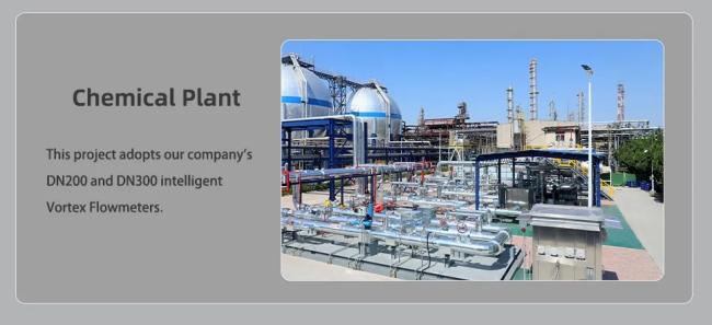 Vortex Flow Meter industrial application