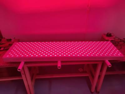 China 3000W de Therapieapparaat van het de rode Therapiecomité LEIDENE Timings660nm 850nm Rode licht van PDT for sale