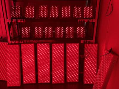 Cina 850nm macchine di terapia della luce rossa 660nm LED NIR Light Therapy Panel in vendita