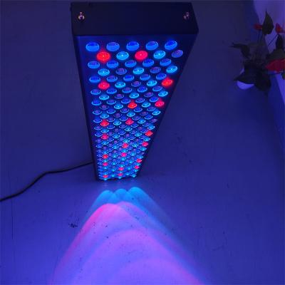 China Professional Red Light Therapy Full Body Panels Customized Wavelength Red Light Therapy Devices for sale