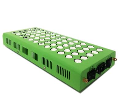 Cina terapia antinvecchiamento della luce infrarossa di 300w 660nm 850nm per dolore del ginocchio in vendita