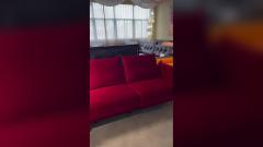 #607
Modern Flower Recliner Sofa Luxury Interior Design Upgrade