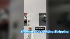JIGUO (FULL STRIPPING) AUTOMATIC DIE CUTTING AND STRIPPING MACHINE