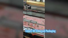 3D Emboss Hot Foil for Book-Shaped Makeup Palette Packaging