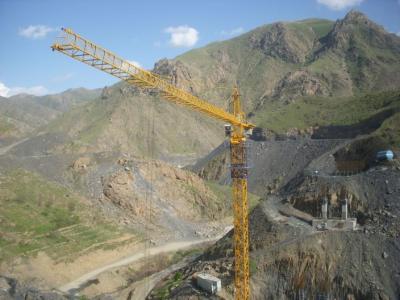 China Electric 50Hz Self Climbing Tower Crane With 12ton Lifting Capacity Panel Type for sale