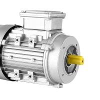 China Ac 3 Phase Induction Motor Squirrel Cage Double for sale