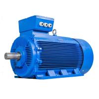 China 3 Phase Squirrel Induction Motor Double Cage for sale