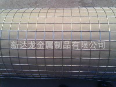 China Galvanized Welded Wire Mesh Rolls For Construction 0.5M - 3.0M Width for sale
