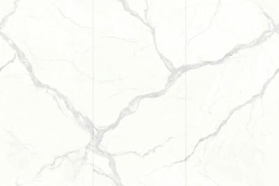 Cina 1200x2400 Piastrelle in polvere lucidate per il bagno e il soggiorno con disegno su misura in vendita
