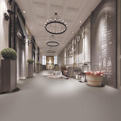 Cina GradeAAA 60x120 Porcellana Granito Ceramica Piastrelle in Bianco Grigio chiaro per interni in vendita