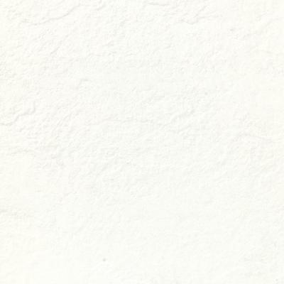 Cina GradeAAA Piastrelle di pavimento in ceramica omogenea bianca 600x600 10 mm di spessore con superficie ruvida in vendita