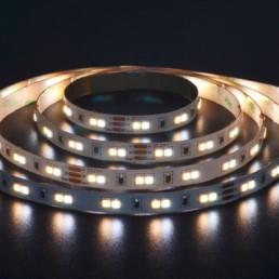 Cina CE bianco musicale della striscia IP20 SMD2835 IL TDC 24V di RGB LED in vendita