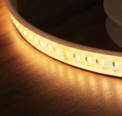 Cina Striscia di IP68 19.2W/M SMD5050 RGBW RGB LED per illuminazione all'aperto in vendita