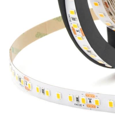 Cina bianco freddo della luce di striscia di 10mm SMD LED SMD2835 24V 12V RA90 in vendita