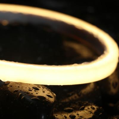 China Tira flexível de néon do diodo emissor de luz do poliuretano curvatura superior de 10mm x de 10mm 5 anos de garantia à venda