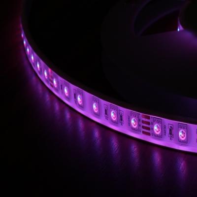 China SMD 5050 RGBW 12mm LED Strip RGBW 3000K DC24V PI20 96LEDs/m DC24V for sale