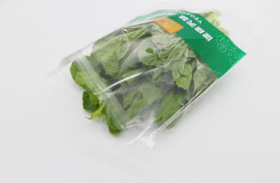 Cina Nebbia d'imballaggio fresca dei sacchetti degli ortaggi BOPP dell'insalata fresca della lattuga anti eliminabile in vendita