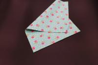 China Express Clothing Apparel Poly Packaging Bag Compostable Biodegradable Custom Logo for sale