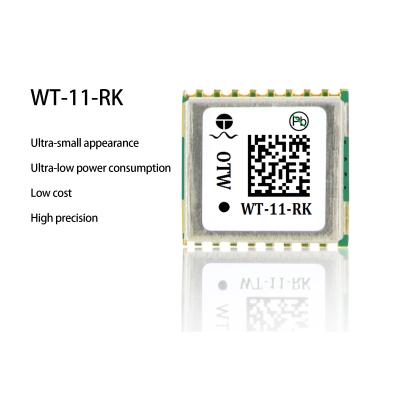 China WT-11-RK Dual Frequency RTK GPS Module for High Accuracy Surveying for sale