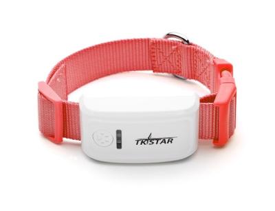 China Pets GPS Tracker with GSM GPRS Web Tracking Real Time Location Device for sale