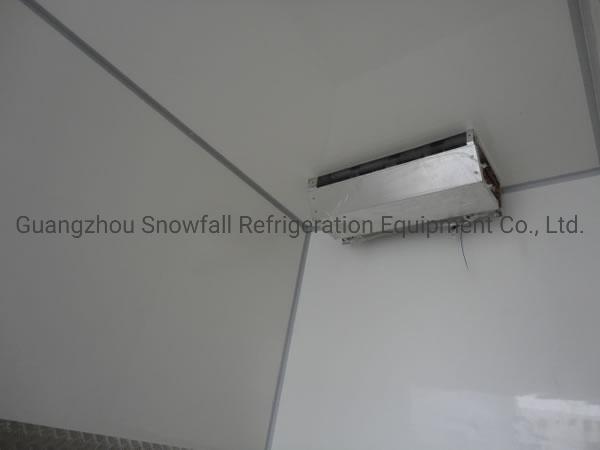 SF-700 Freezer Unit for Big Truck Cooler Unit - Side View