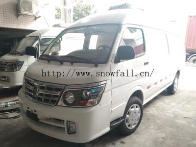 China Customizable Freezing Van Box with High Strength FRP Panels for sale